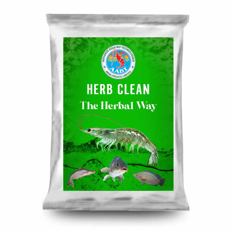 HERB CLEAN: The Herbal Sanitizer for Aquaculture – AABT GROUP